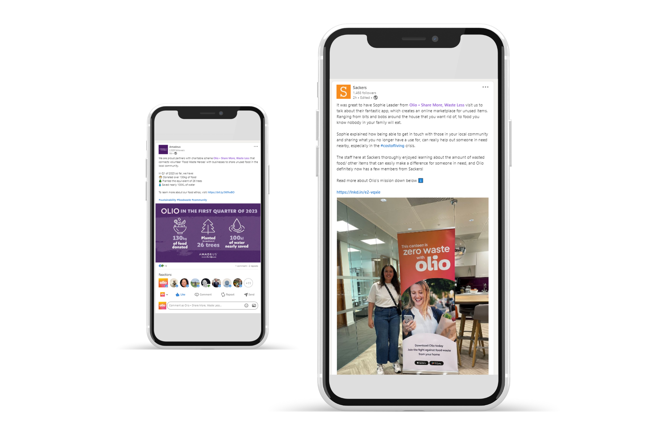 Getting started with Olio collections - for schools - Olio | At Work