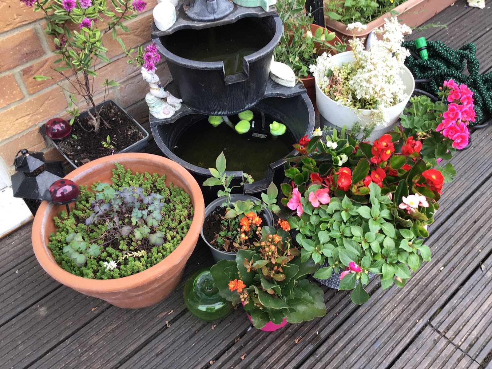 How Olio helped one couple feel at home and grow a garden full of joy - Olio | At Home